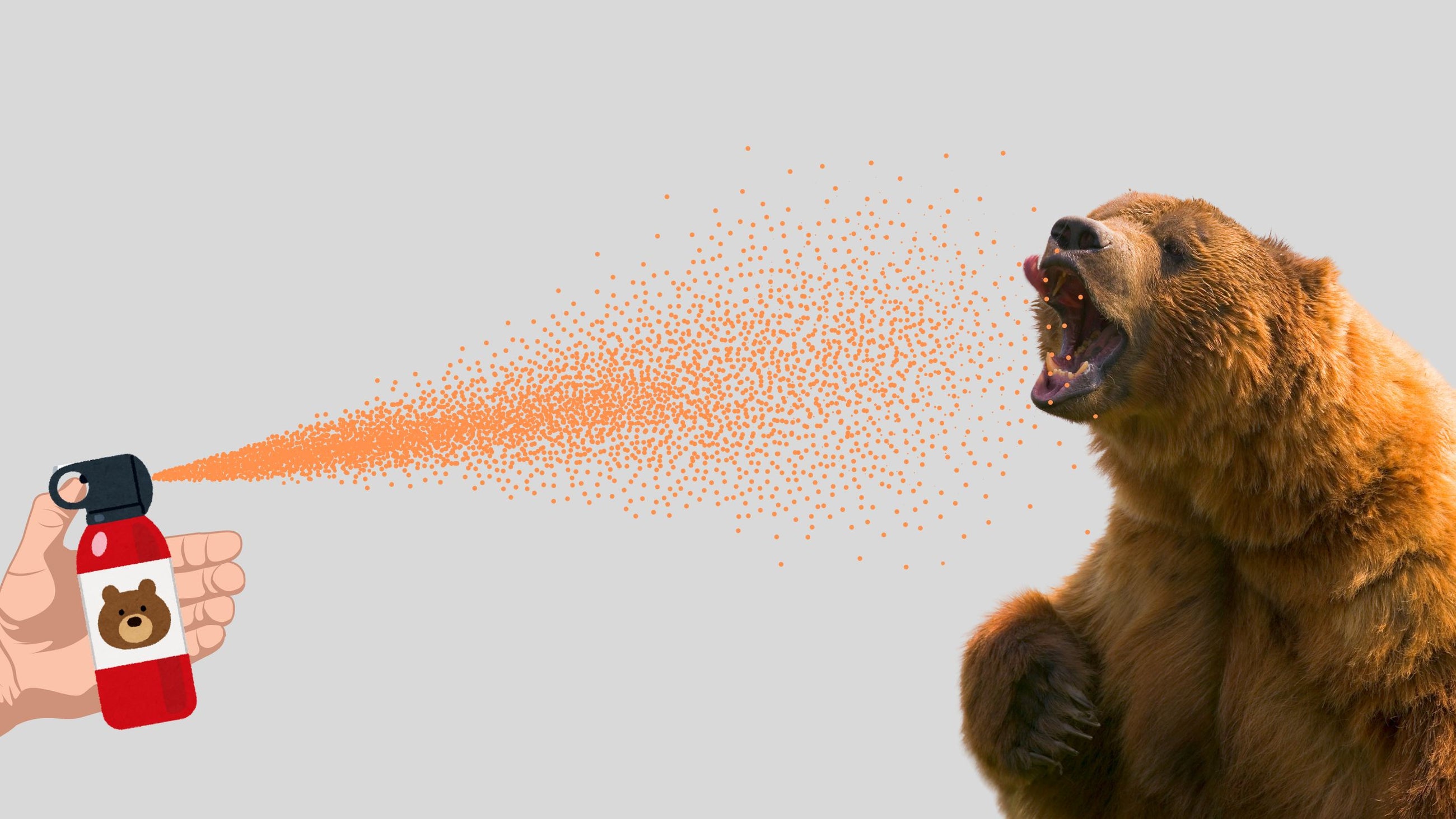 Banff Bear Spray 101