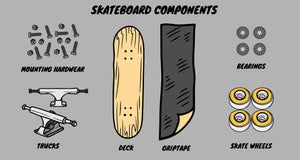 A Beginners Guide to Choosing Skate Components